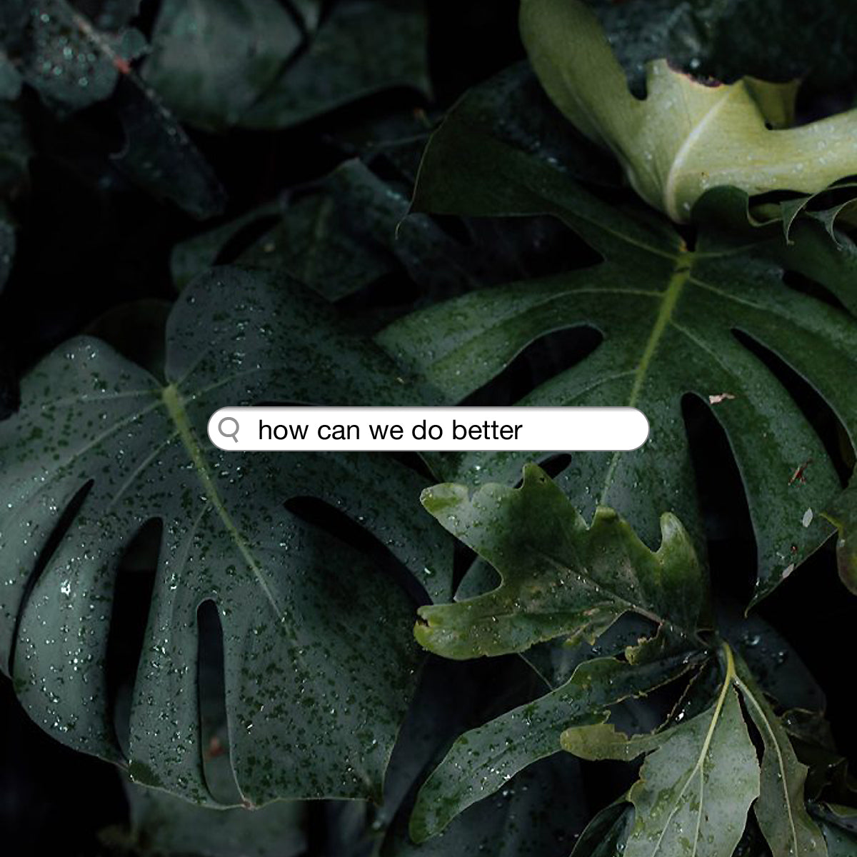 Time for a Clean Break – Sqwishful