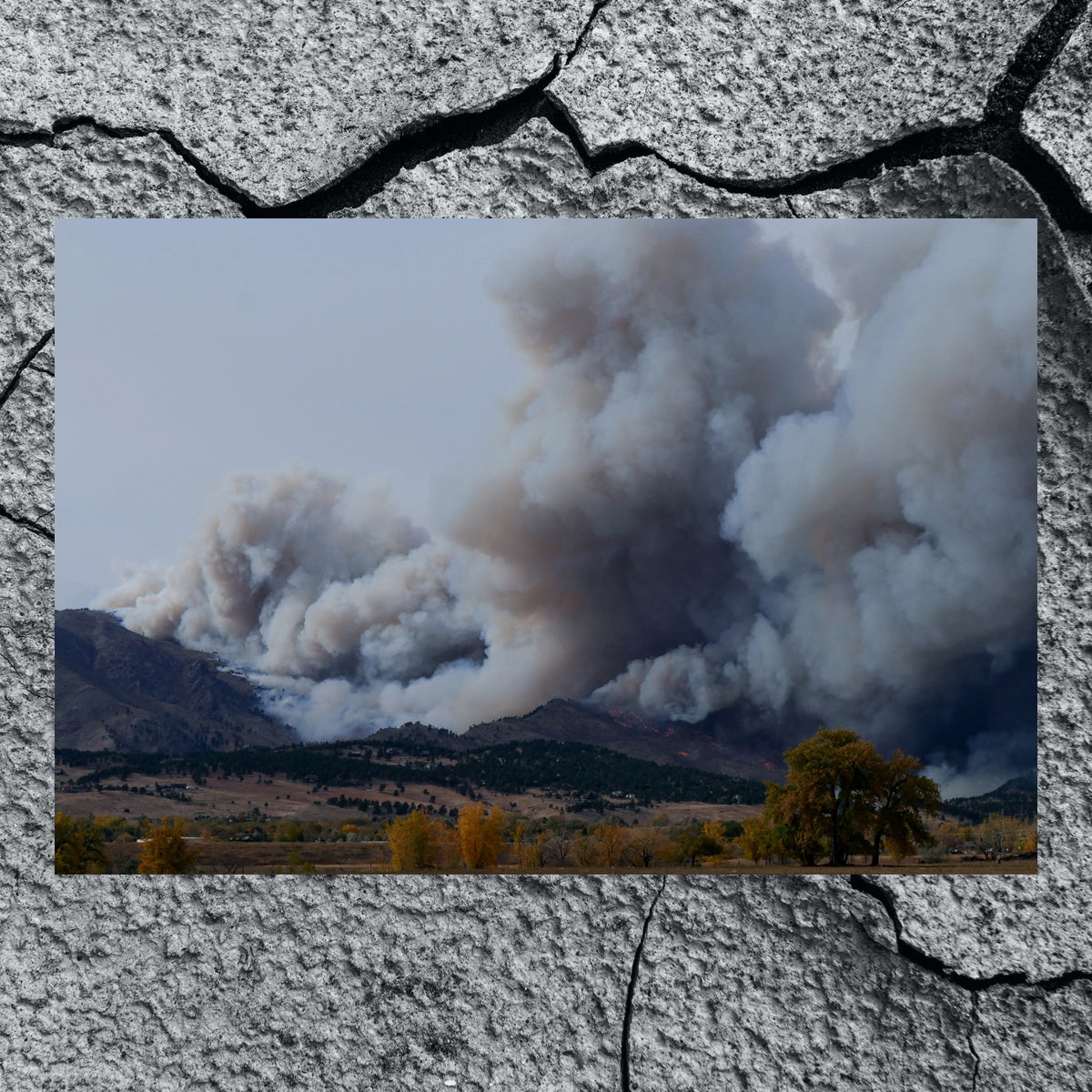 Why We Made Our Packaging Tree-Free – Sqwishful